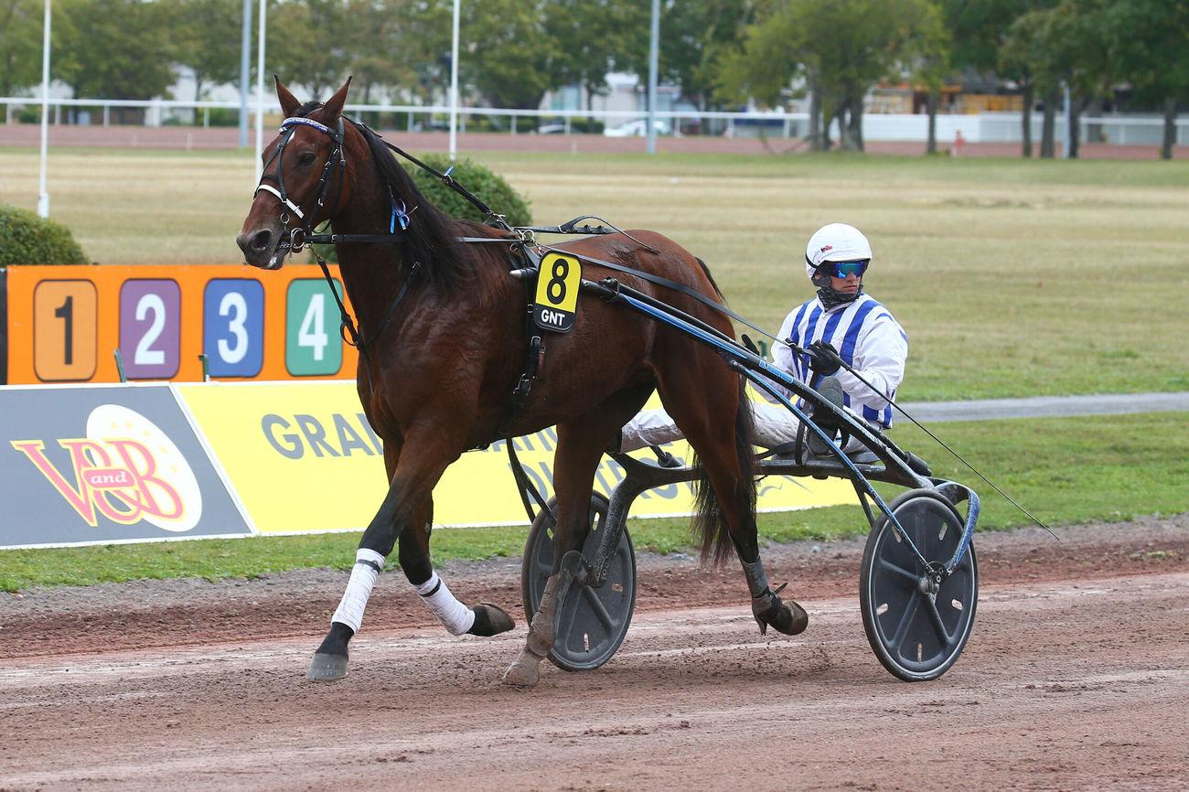 Le pro du jour - Guillaume Huguet : "Je suis confiant avec Horchestro ...