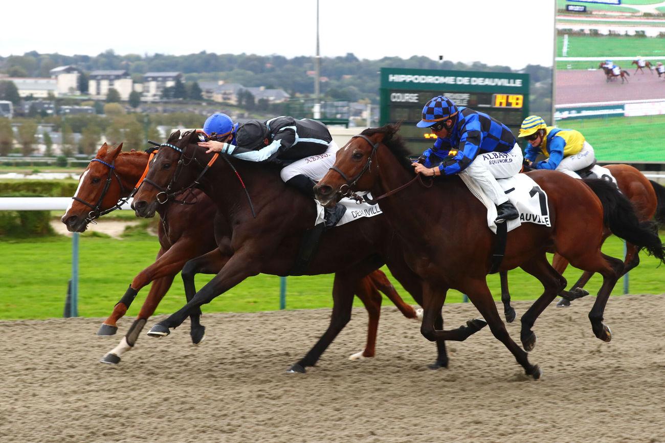 Quinté+: Le pro du jour - Axel Baron : "Young Man peut très bien faire ...