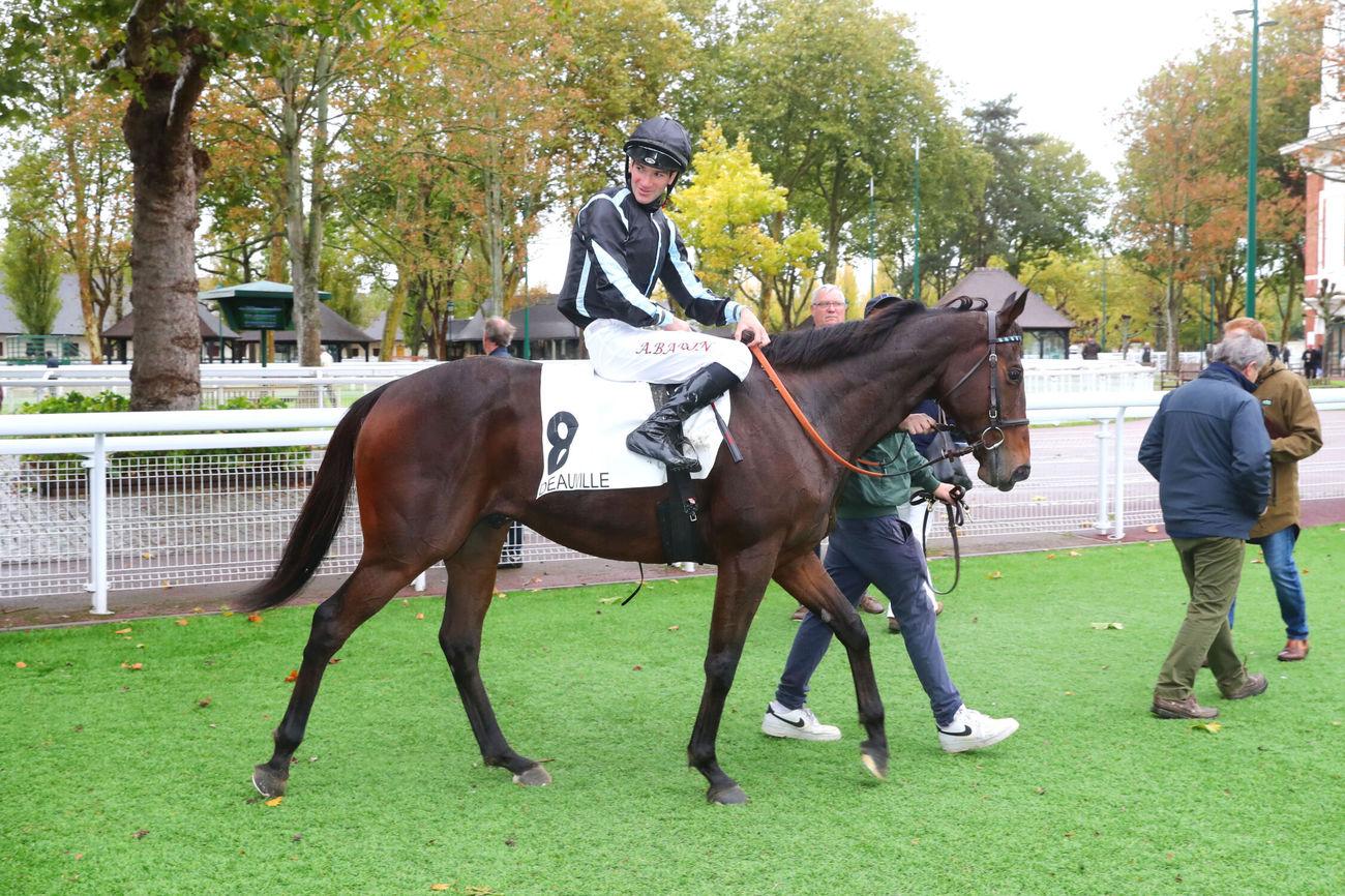 Le Quinté+ du vendredi 12 janvier vu par les statistiques | Equidia