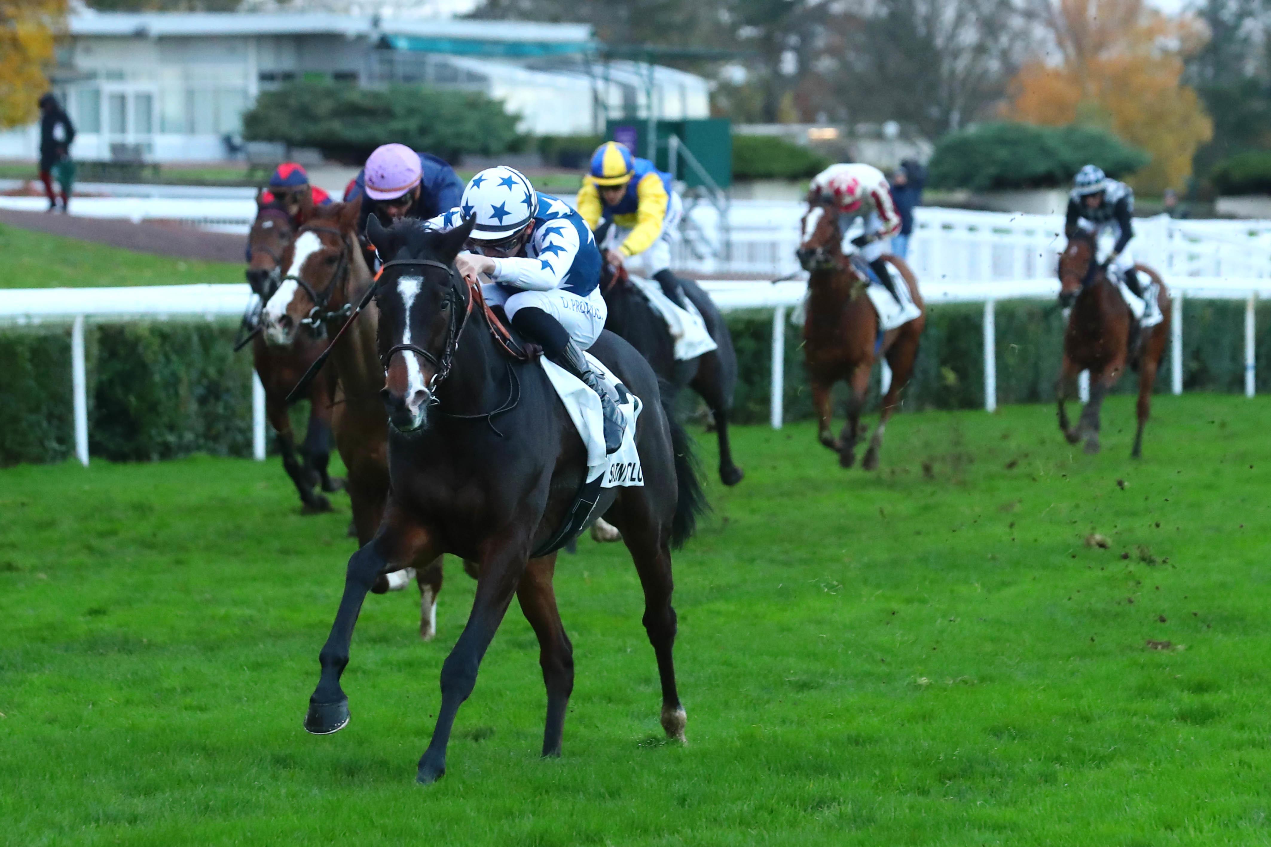 Quinté Les 3 Tuyaux Du Quinté Du Jeudi 7 Mars Equidia