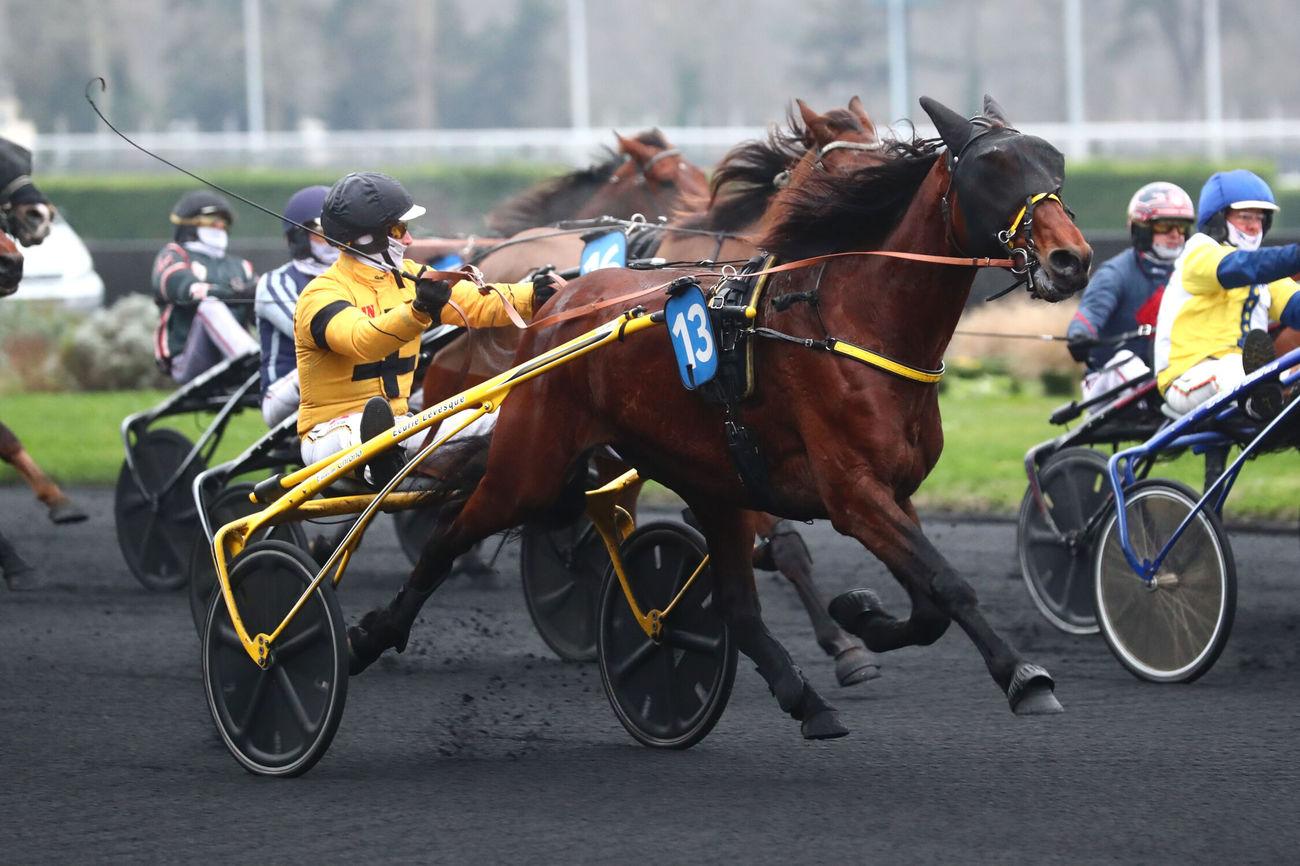 Quinté+: Le pro du jour - Pierre Levesque : "Jason est un super cheval ...
