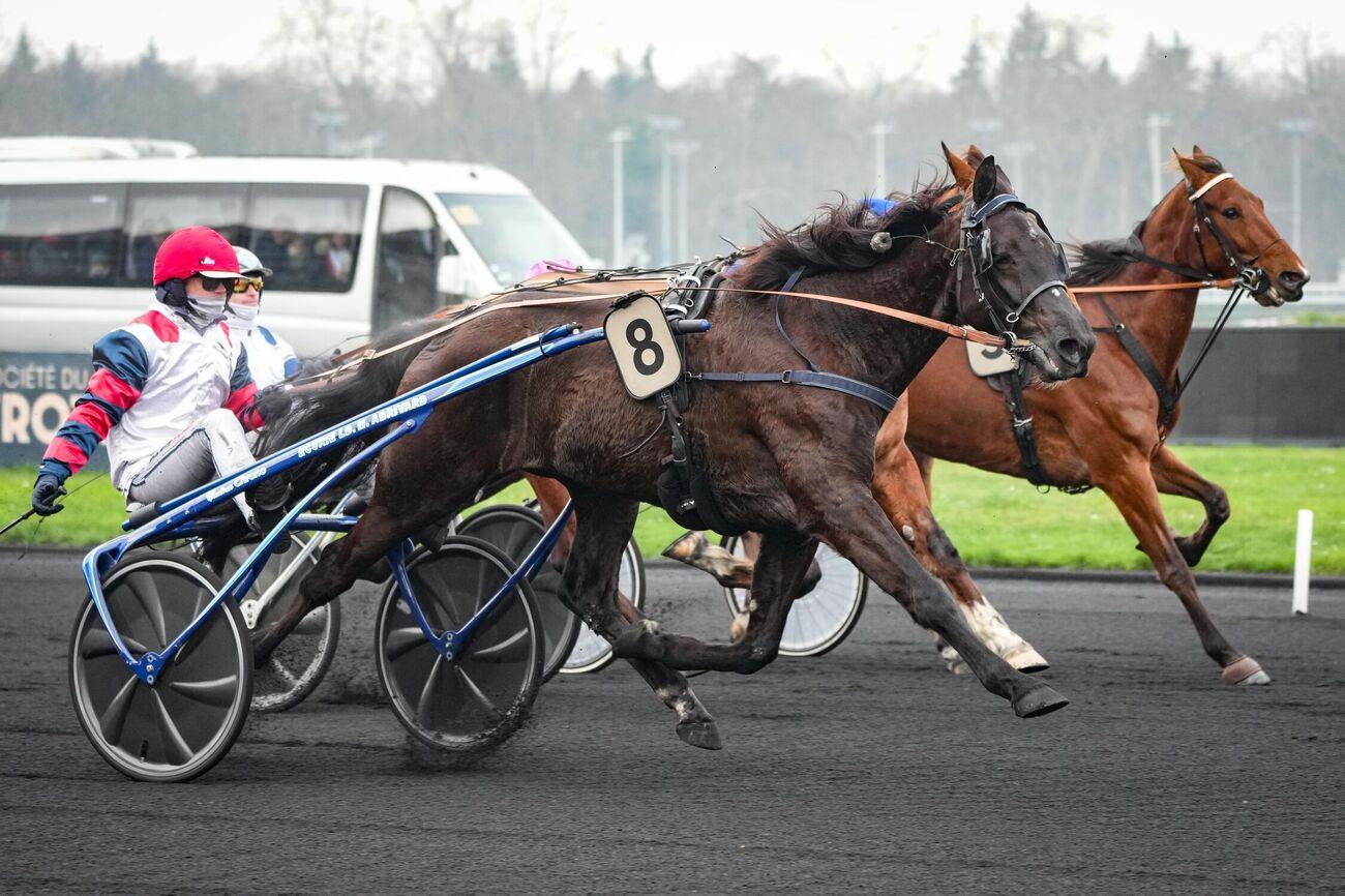 Quinté Les 3 Tuyaux Du Quinté Du Lundi 17 Février à Vincennes Equidia