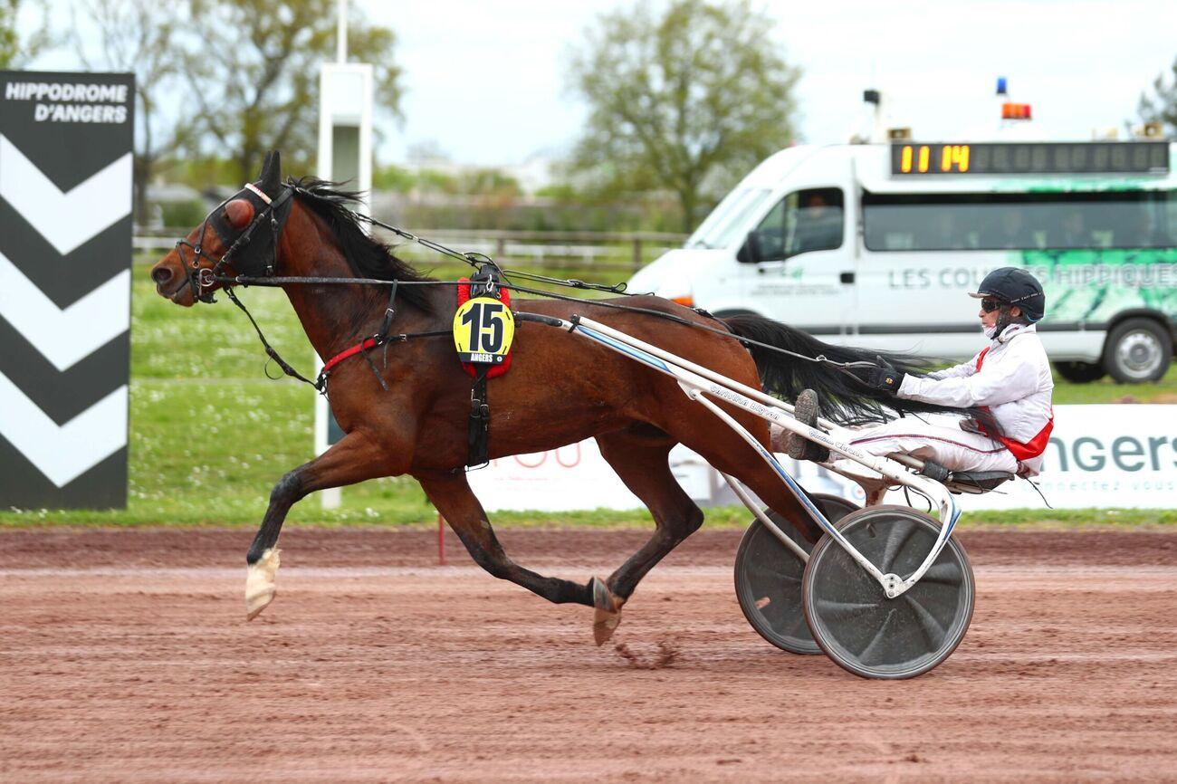 Meeting de Paris-Vincennes 2024-2025 : Tour de Cour chez Christian ...