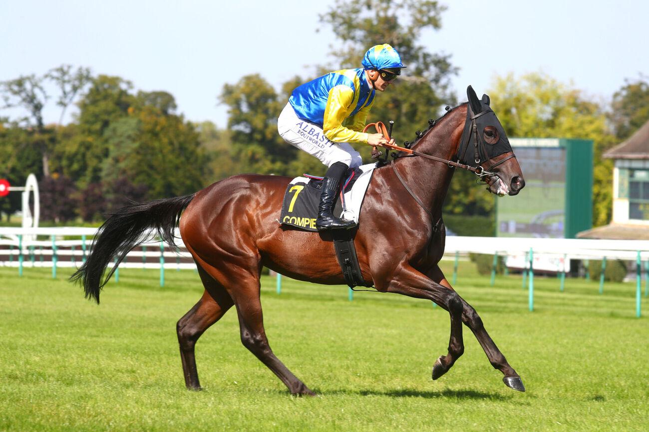 Quinté+: Le pro du jour - Daniel Allard : "Zelman a la qualité pour se ...