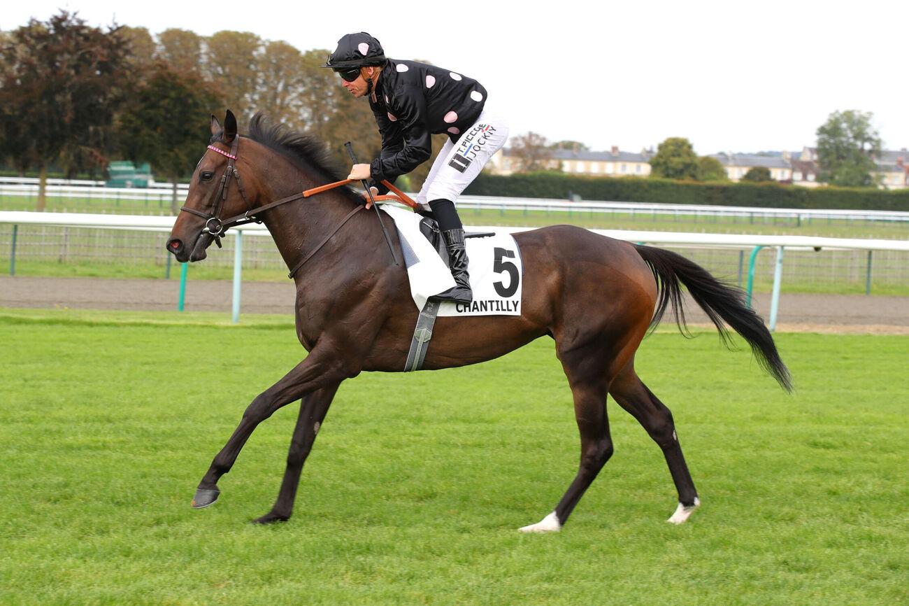 Quinté+: Le pro du jour - Henri-Alex Pantall : "Je compte sur Escape Game" | Equidia