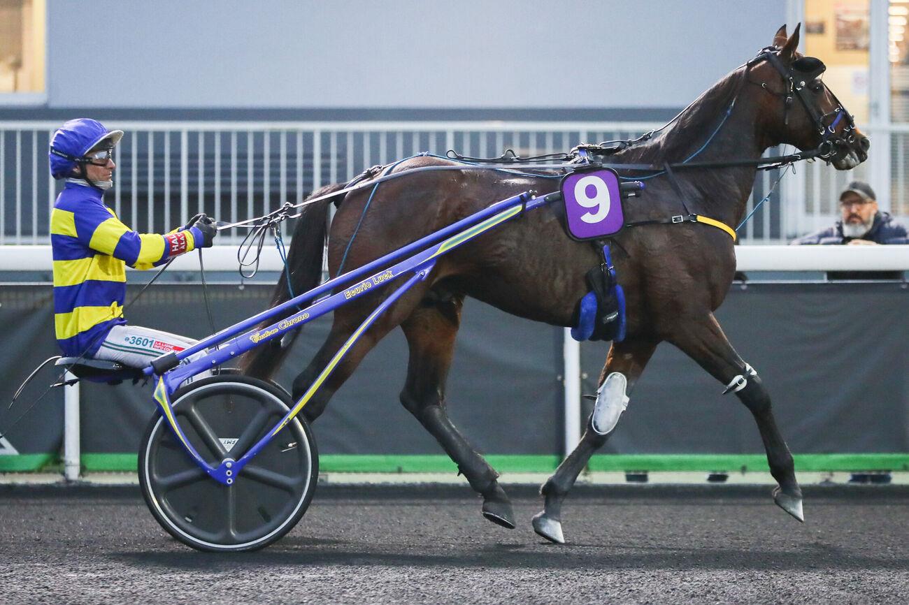 Le pro du jour - Jean-Luc Dersoir : "J'attends une belle course de ...