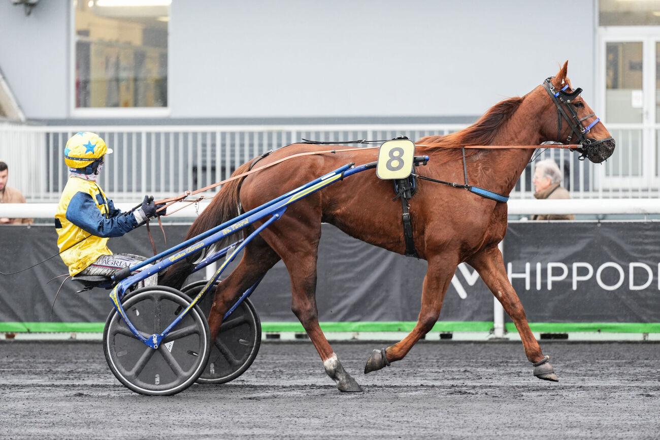 Quinté+: Le pro du jour - Grégory Thorel : "Joy Jénilou a sa place à l ...