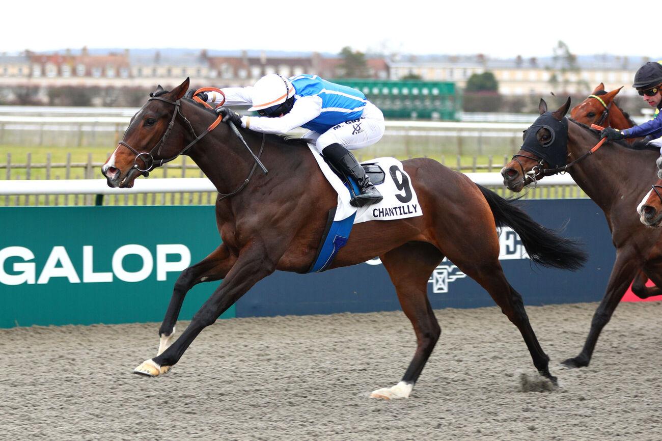 Quinté+: Le Pro du jour - Edouard Monfort : "Tous les feux sont au vert ...