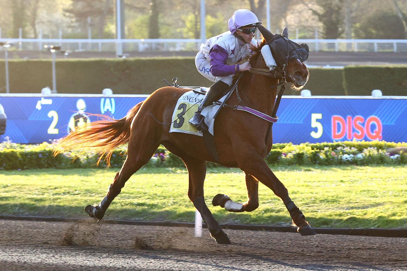 Quinté+: Le pro du jour - Emmanuel Varin : "Melody de Vivoin est ...