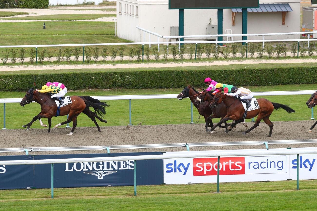 Les 3 Tuyaux Du Quinté Du Jeudi 21 Août à Deauville Equidia