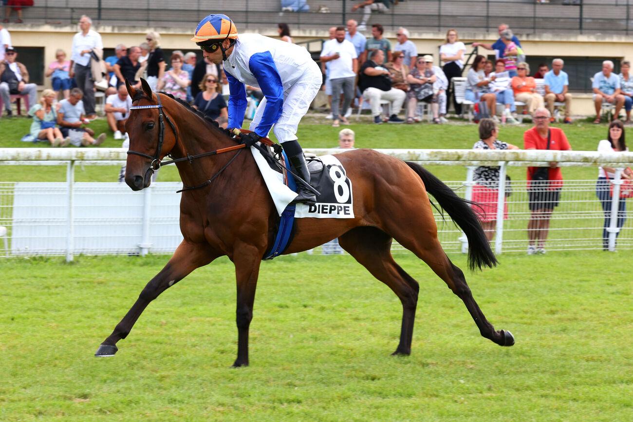 Le pro du jour - Yann Lerner : "King Trezy devrait se racheter" | Equidia