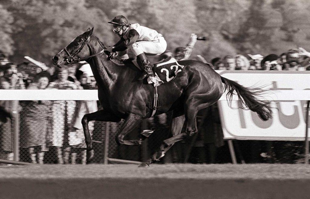 Alec Head s'en est allé... | Equidia