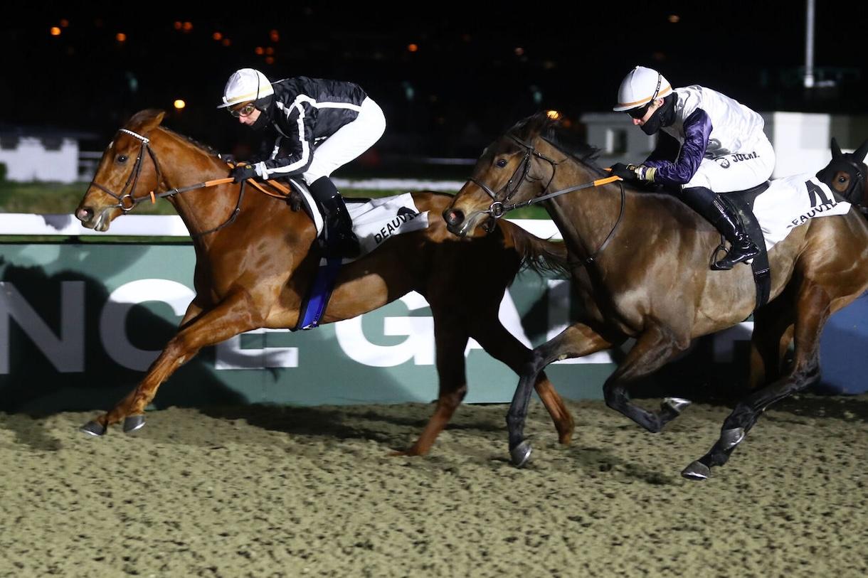 Quinté+: Le Quinté+ du lundi 17 mars vu par les statistiques | Equidia