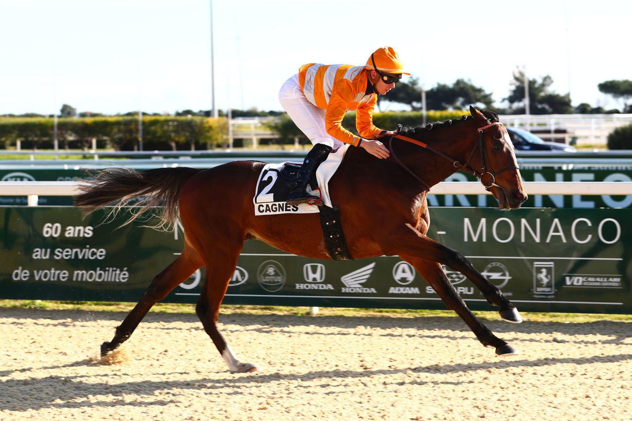 Antonio Orani : " Je suis à l'écoute des conseils et j'apprends de mes ...