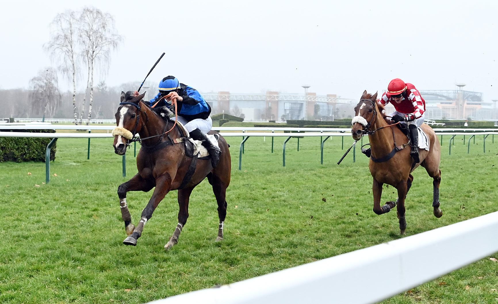 William Menuet : « Notre plus gros avantage avec Bomari ? L’expérience ...