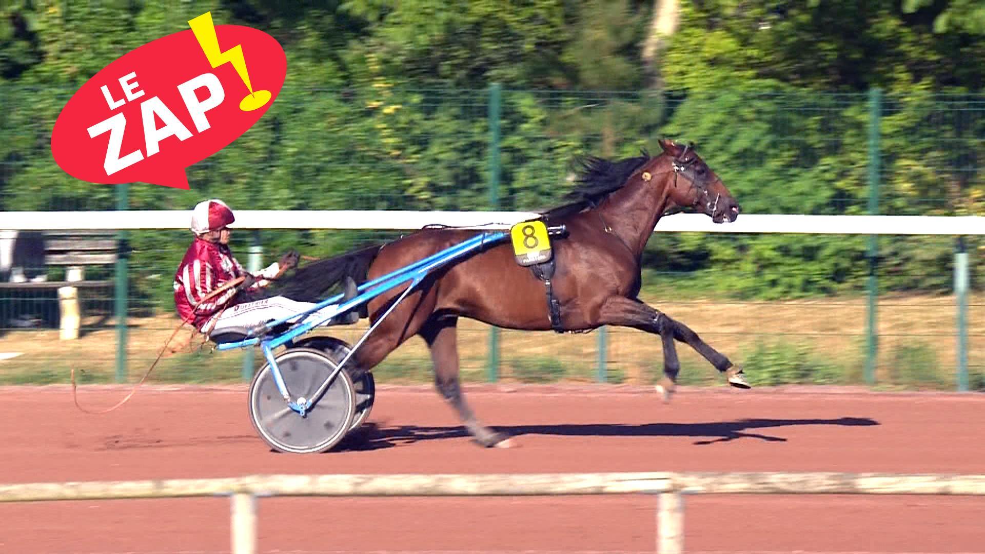 Equidia - Zap de juillet 2022 | Equidia