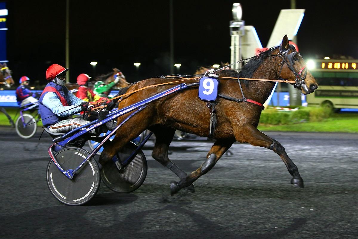 Le pro du jour - Arnaud Gilles Maillard : "Fulmida a sa place sur le ...