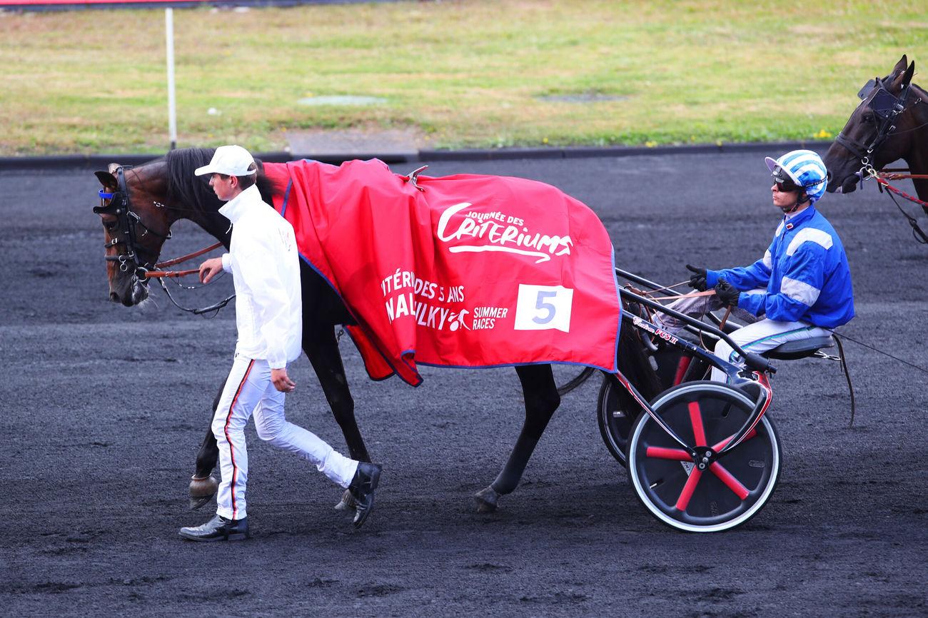 Quinté+: Le pro du jour - Pierre Louis Desaunette : "Gamble River ...