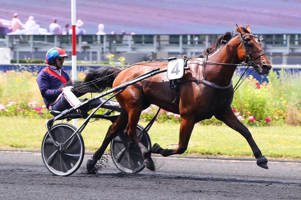 Quinté Les 3 Tuyaux Du Quinté De Ce Dimanche 3 Décembre à Vincennes