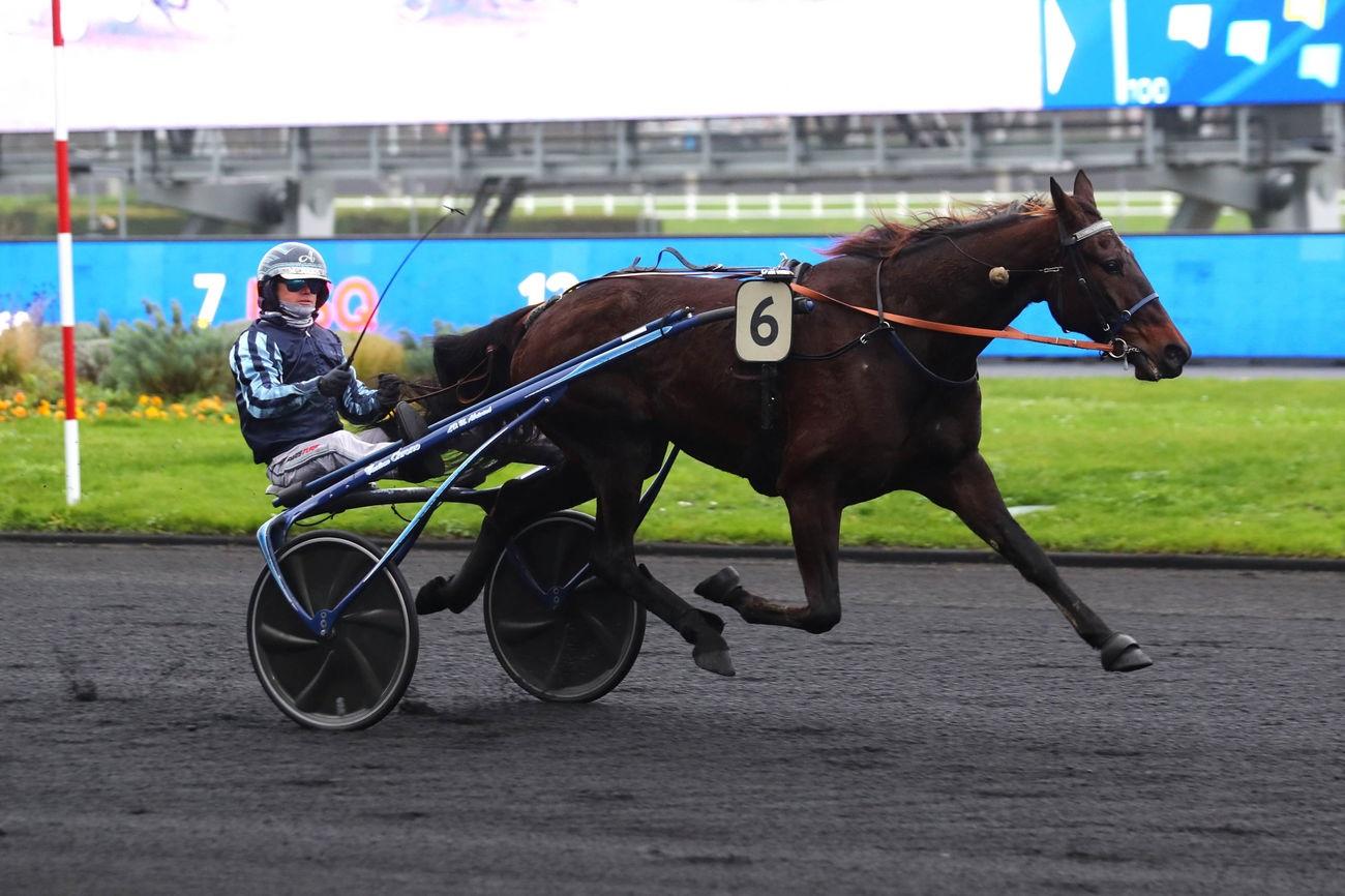 Quinté+: Le pro du jour - Matthieu Abrivard : "Une belle carte à jouer ...