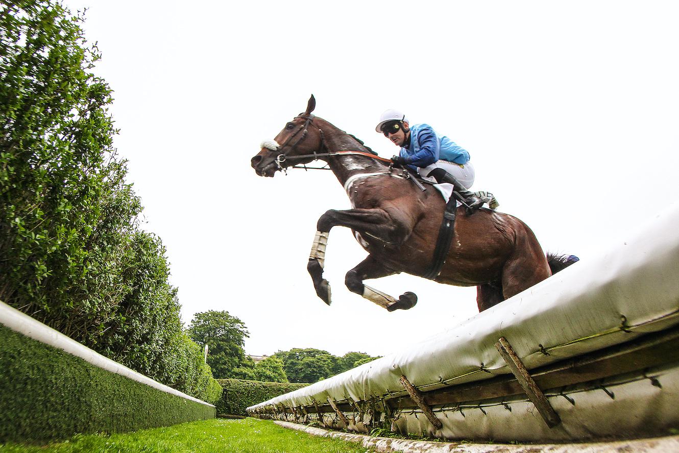 Galop : les programmes de plat et d'obstacle s'adaptent | Equidia