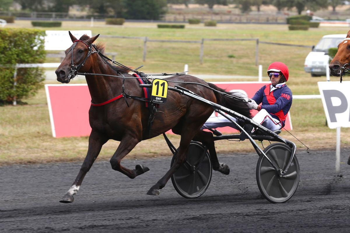 Grand National du Trot ParisTurf à Vire : Farrell Seven pour le doublé ...