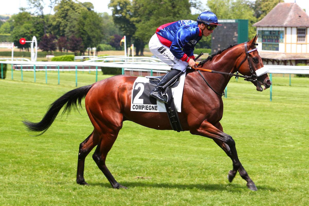 Le Quinté+ du samedi 22 octobre vu par les statistiques | Equidia