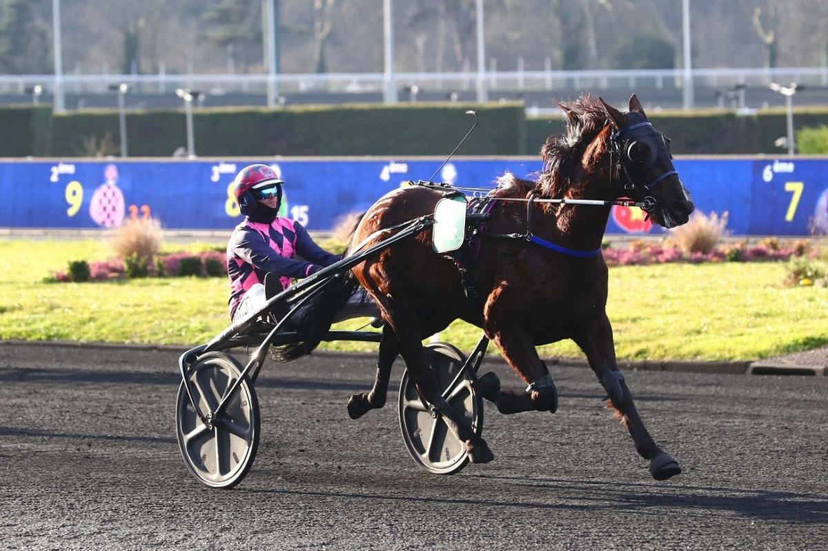 Quinté+: Le pro du jour – Alexis Garandeau : "Je vois Happy Danica ...