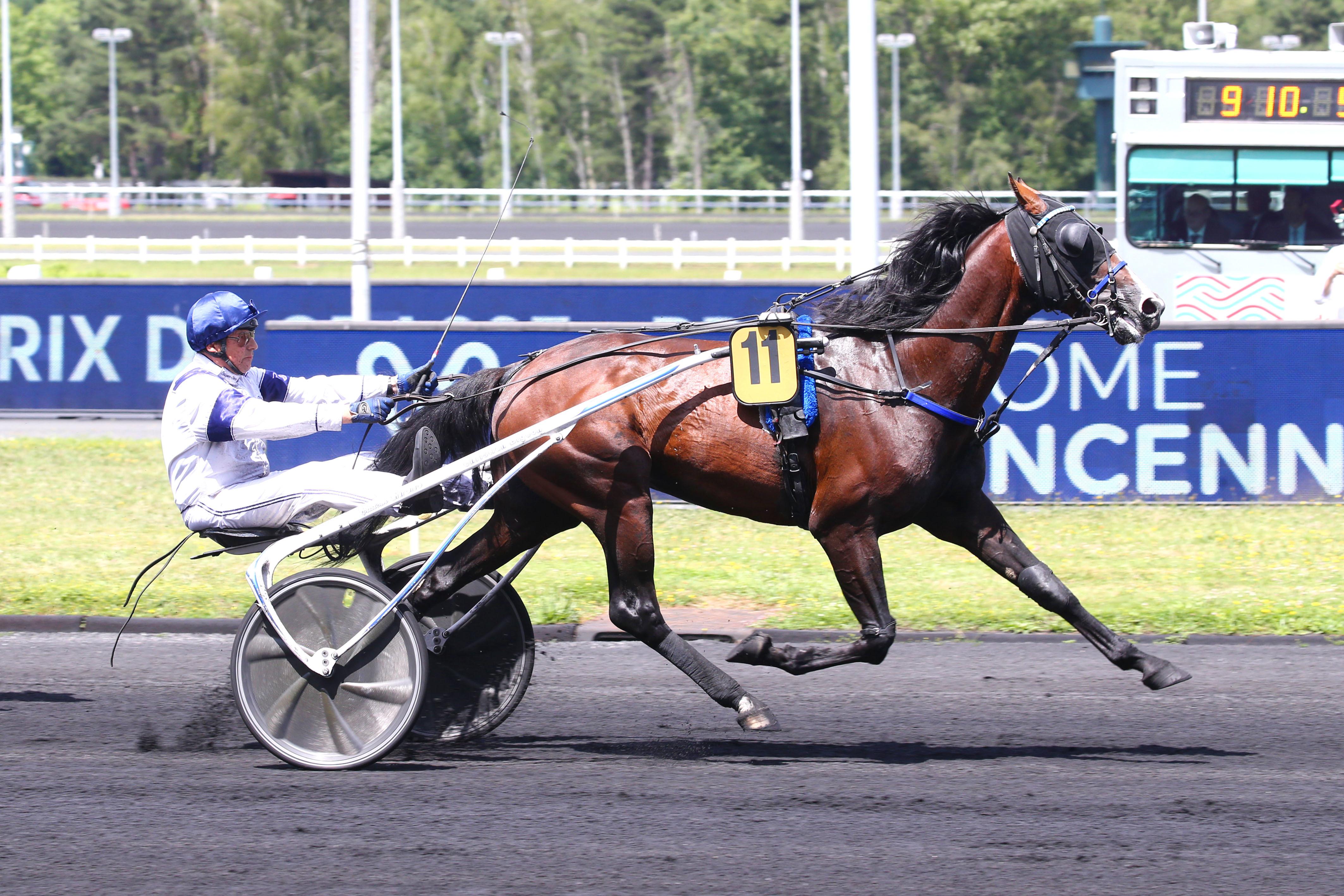 Meeting d'hiver 2022/2023 : Tour de Cour avec Christian Bigeon | Equidia