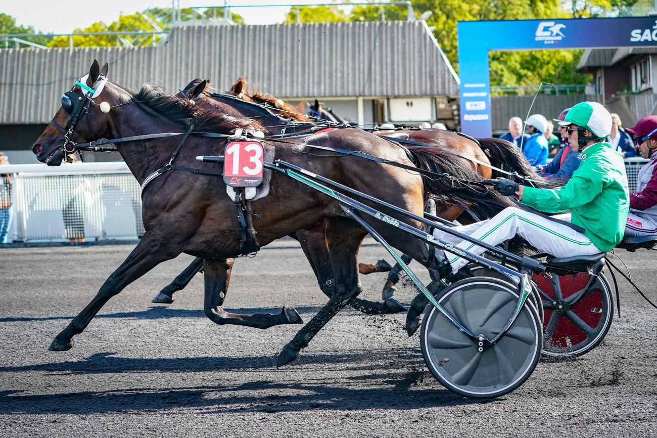 Le Prix d'Amérique Legend Race du dimanche 29 janvier vu par les ...