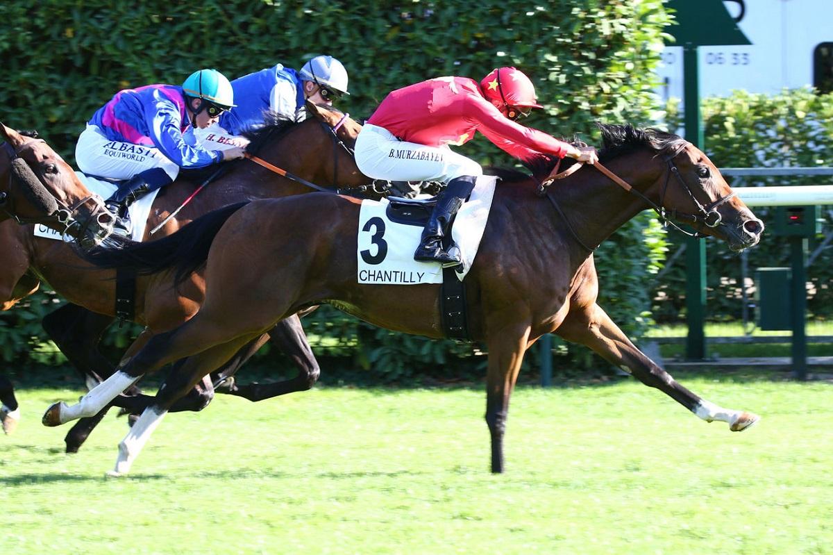 Le pro du jour - Adelaïde Budka : "On a visé cette course avec ...