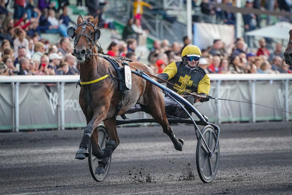 Le Quinté+ du samedi 10 décembre vu par les statistiques | Equidia