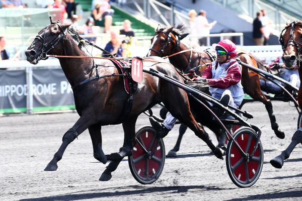 Eric Raffin : "Je crains Italiano Vero et surtout Idao de Tillard ...