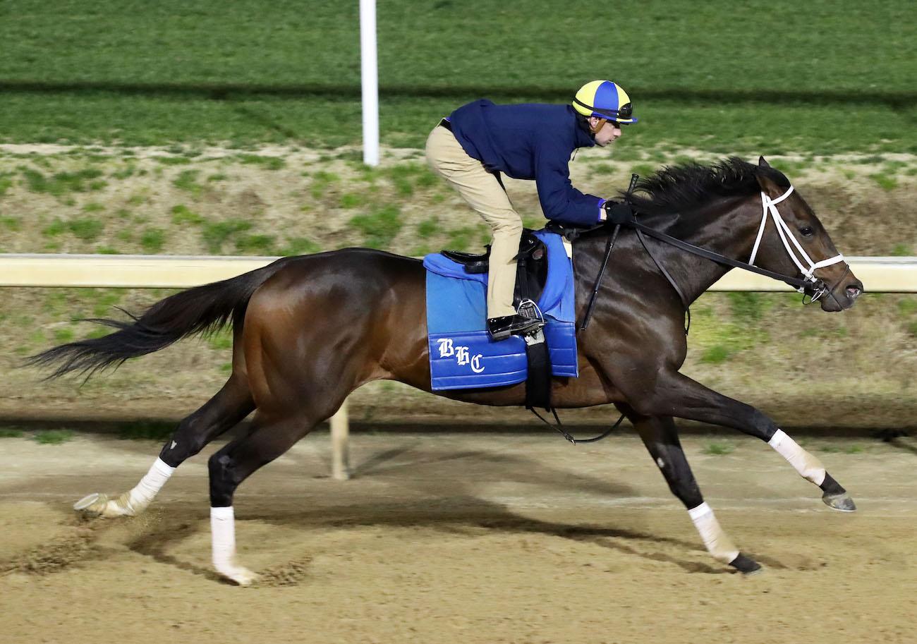 Florent Géroux : "Le Kentucky Derby, c'est l'Américan Dream" | Equidia