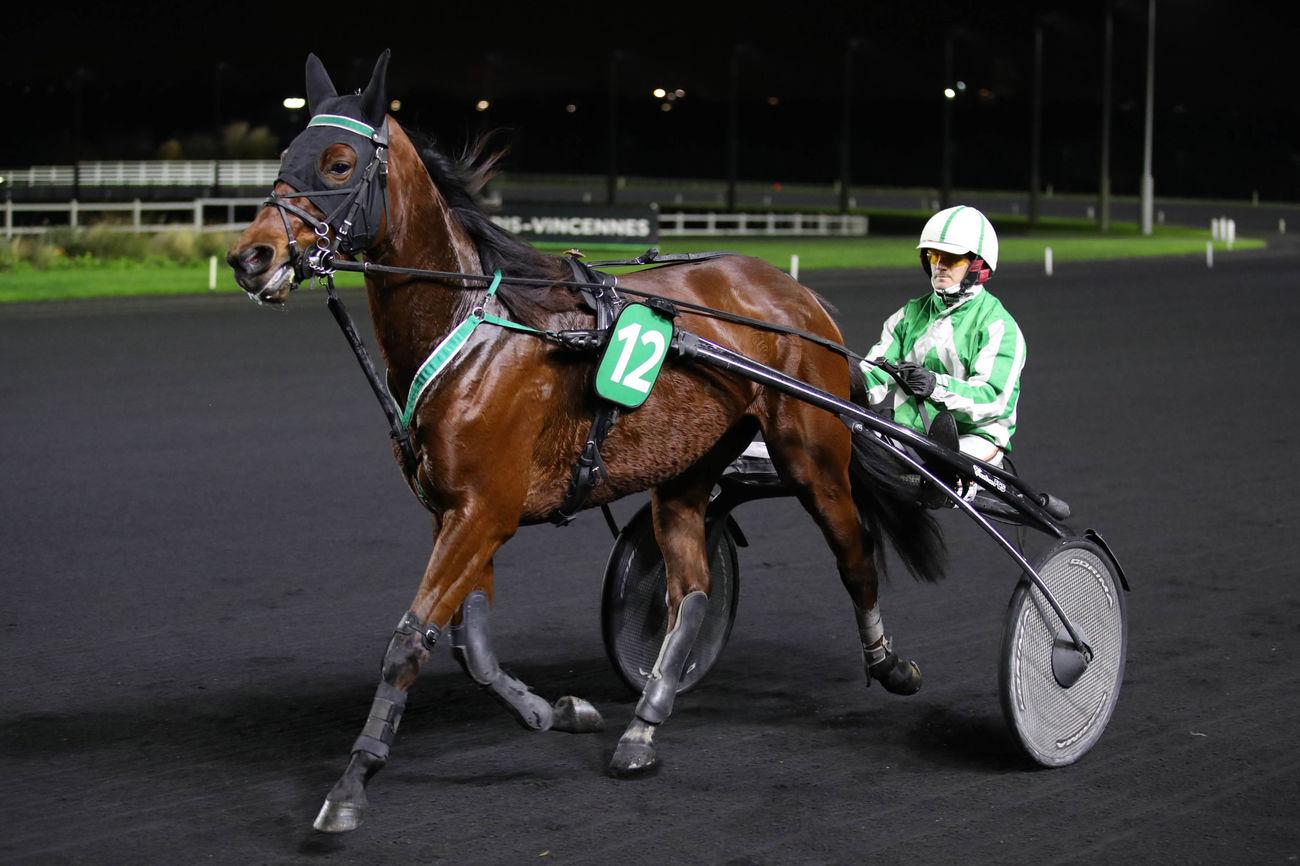 Quinté+: Le pro du jour - Jonathan Vanmeerbeck : "J'estime Jaida de May ...