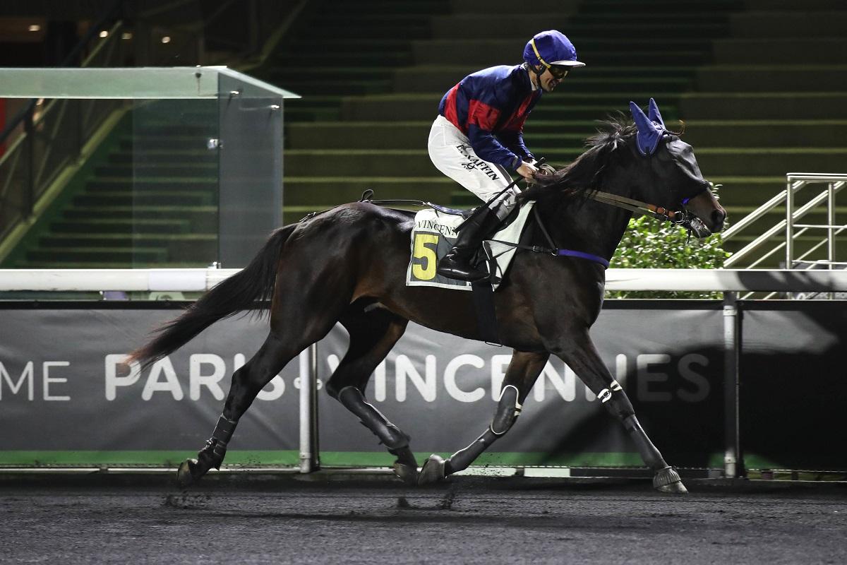 Meeting d'hiver 2022/2023 : Tour de Cour avec Franck Leblanc | Equidia