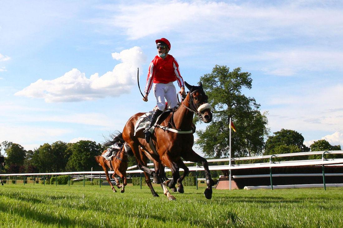 Clément Lefebvre, une histoire « Gran Diose » | Equidia