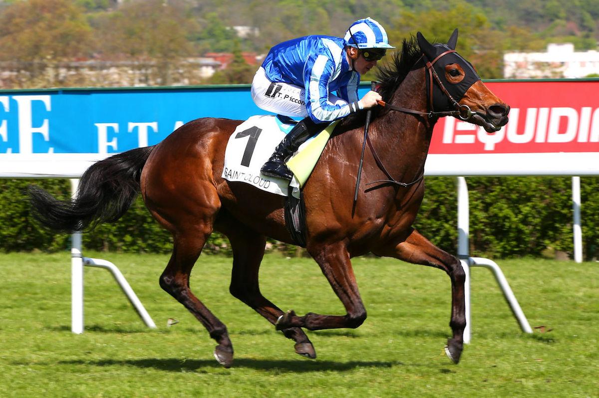 Le Quinté Du Jeudi 14 Juillet Vu Par Les Statistiques Equidia