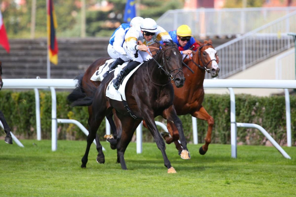 Quinté+: Le pro du jour - Mathieu Brasme : "Lofsongur Islande est une ...