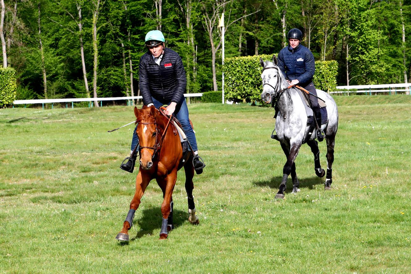 David Cottin affûte son armée pour la rentrée | Equidia