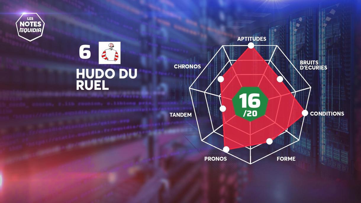 Quinté+: Hudo du Ruel, la base solide du Quinté+ de jeudi 21 novembre à ...
