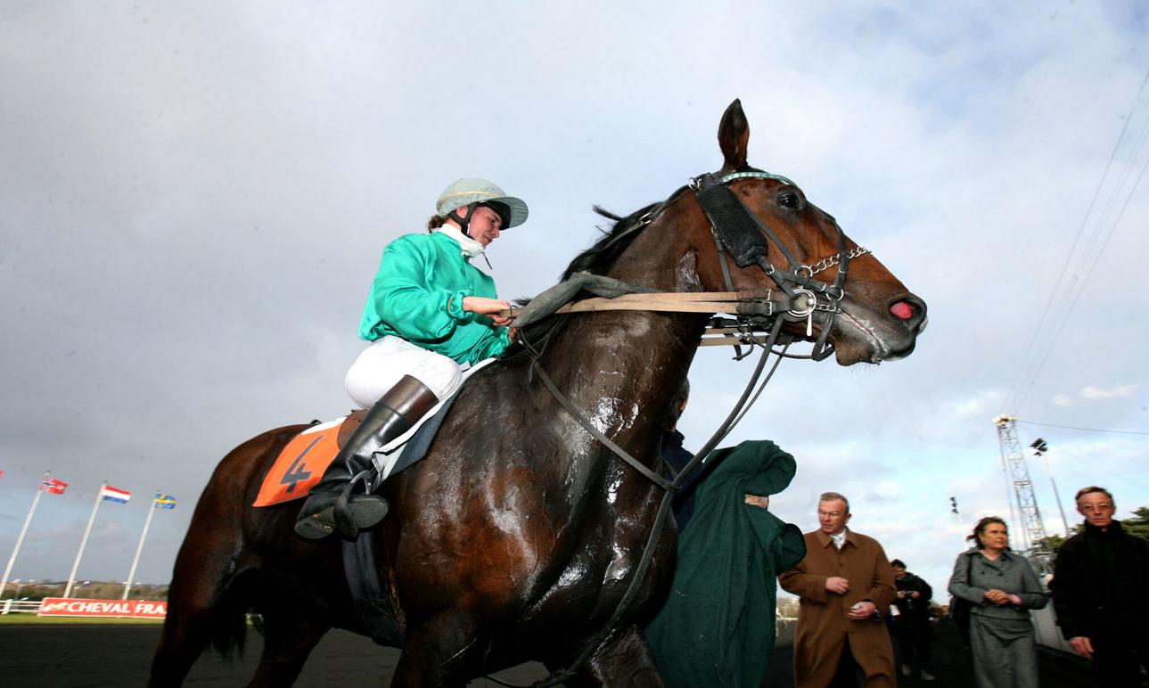 Nathalie Henry " Quand Vision intense prenait le mors, il y avait elle ...