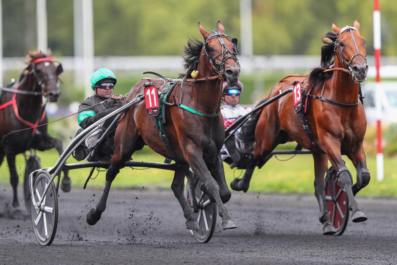 Point sur les engagés du Critérium Continental - Amérique Races Q3 et ...