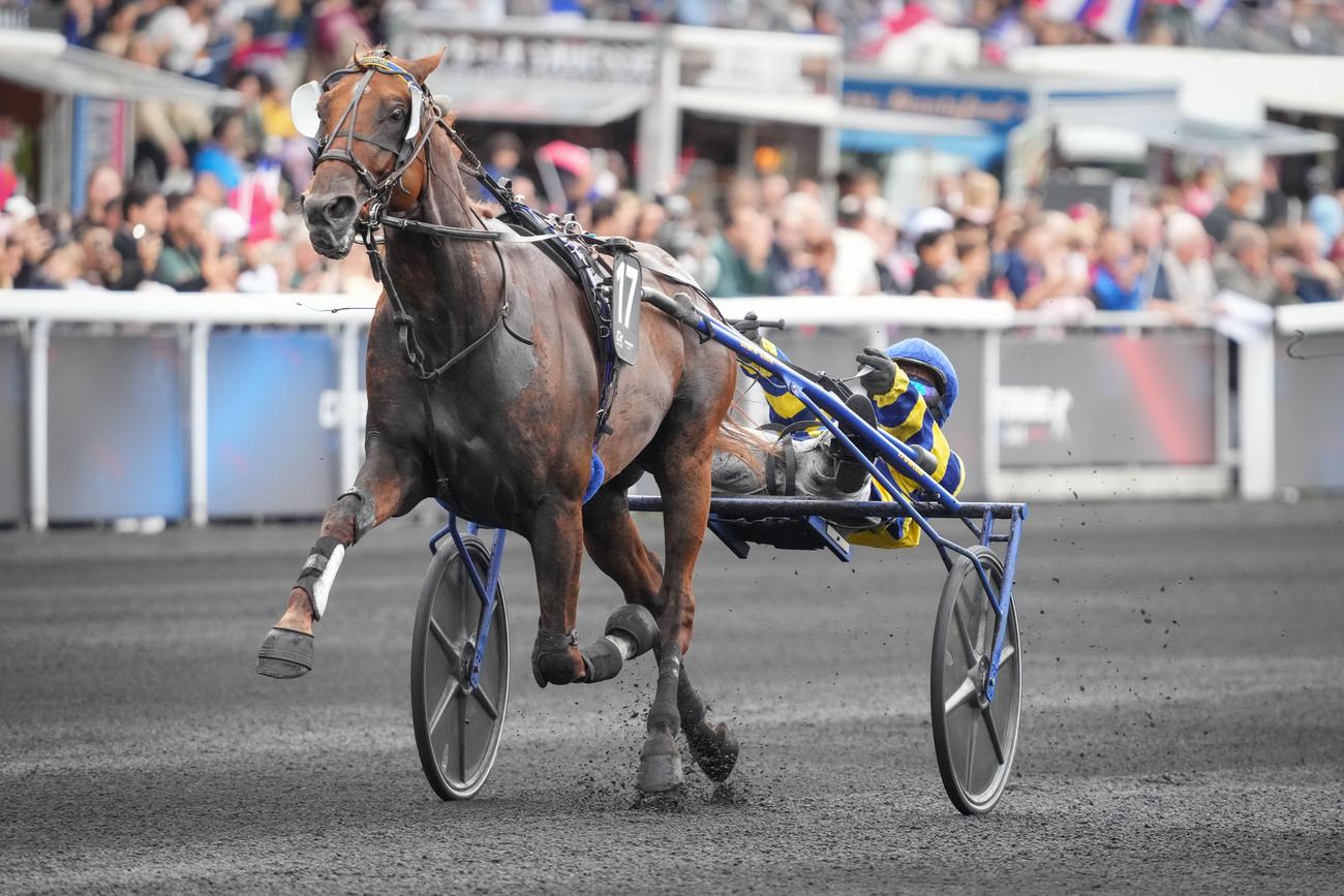 Quinté+: Le pro du jour - Jean-Luc Dersoir : "Lombok Jiel est vraiment ...
