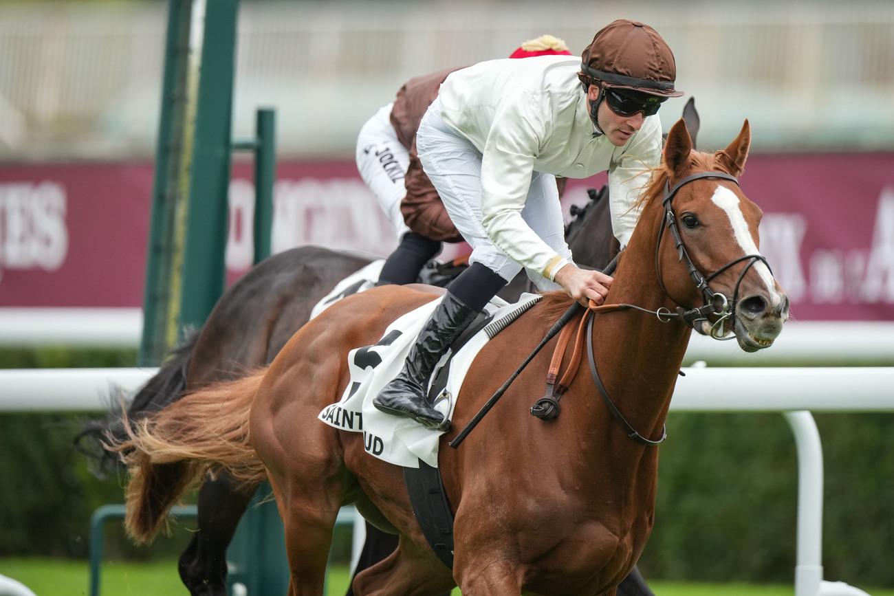 Quinté+: Le pro du jour - Paul de Chevigny : "Bel et Bien face à son ...