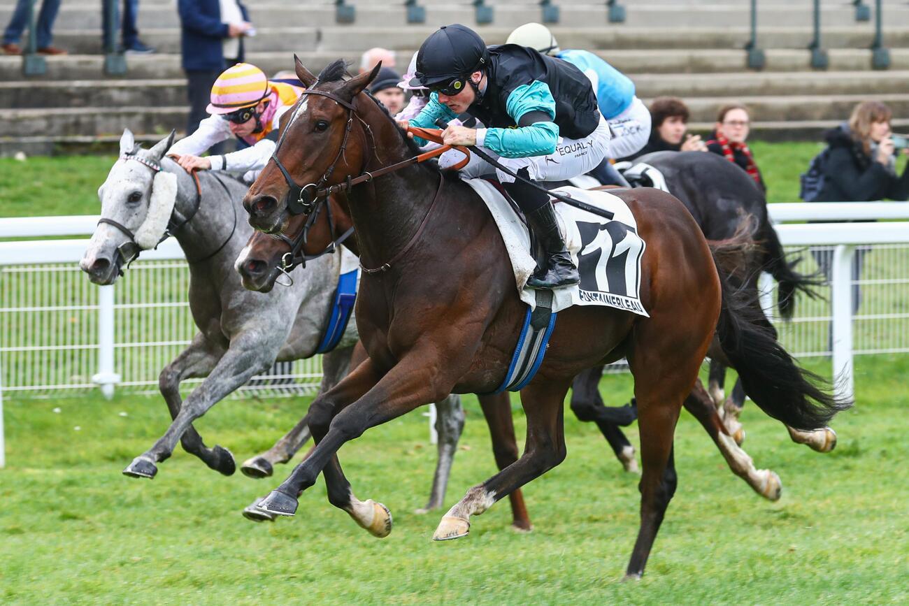 Les 5 pénos du jeudi 18 décembre | Equidia