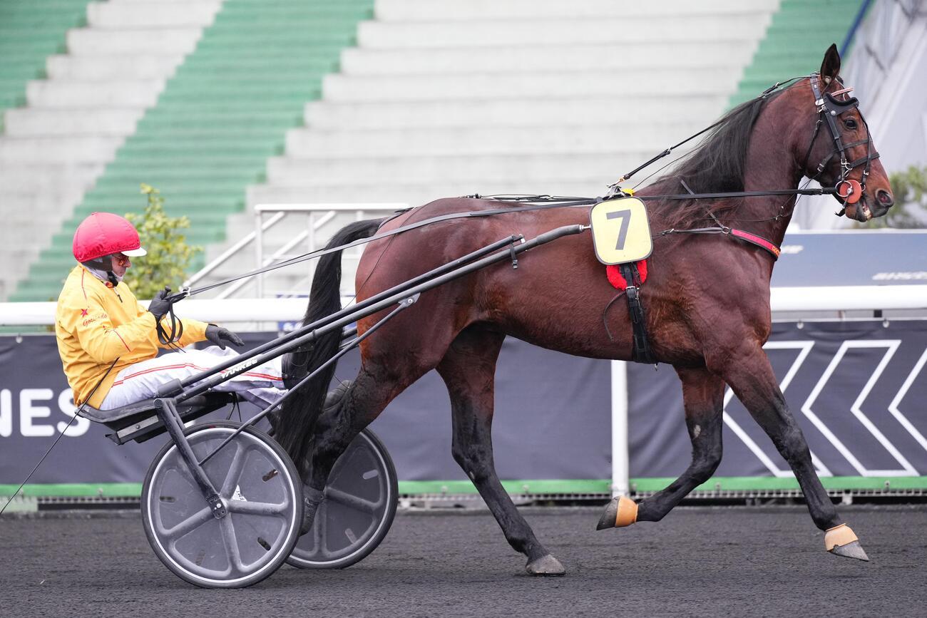 Quinté+: Le pro du jour - Alessandro Manfredi : "Eldorado Jet s'est ...