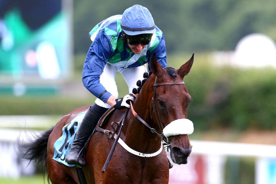 Quinté+: Les chiffres clés du Le Défi des Haras - Grand Steeple-Chase ...