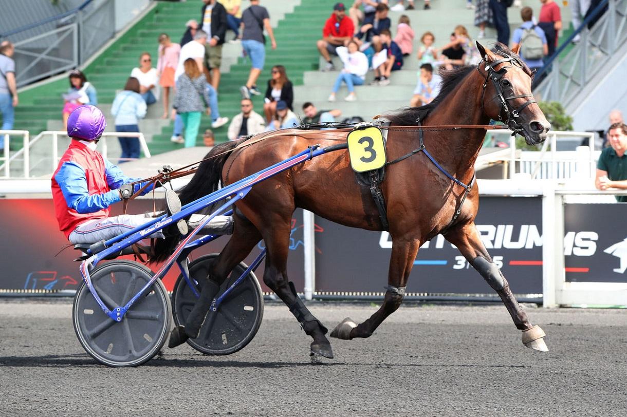 Quinté Les 3 Tuyaux Du Quinté De Ce Lundi 25 Décembre à Vincennes