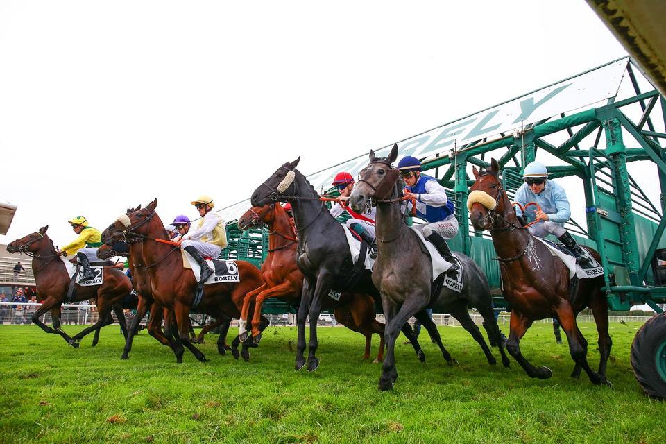 Equidia en direct 100% gratuit | Equidia